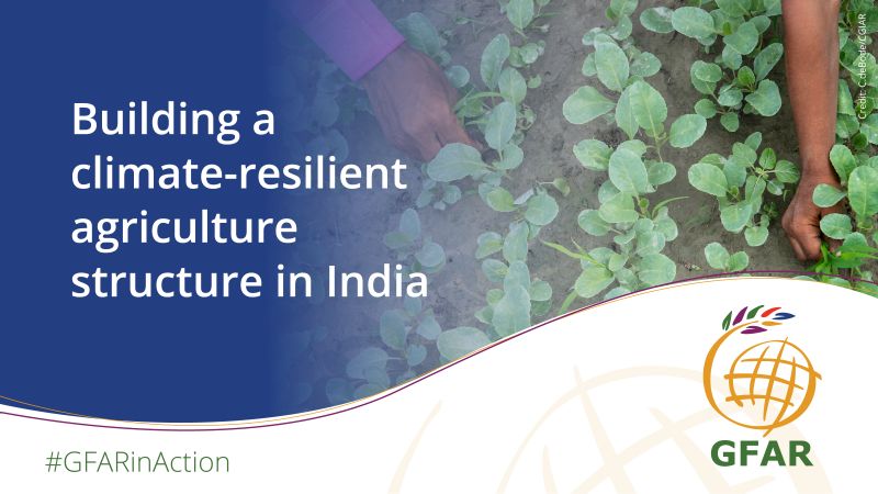 Aanchal Saxena on LinkedIn: #climatechange #environment Aanchal Saxena on LinkedIn: #climatechange #environment
