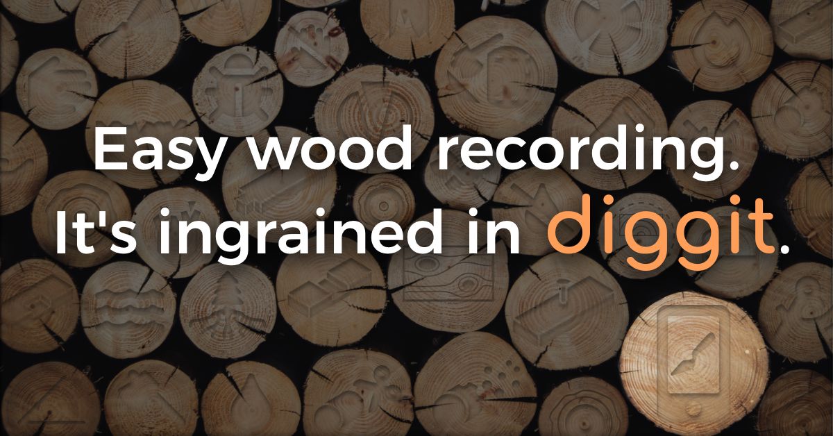 Diggit Archaeology on LinkedIn: #digital #archaeology #heritage #timber ... Diggit Archaeology on LinkedIn: #digital #archaeology #heritage #timber ...