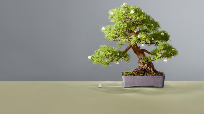 Rutger-Jan Leewens on LinkedIn: Towards Sustainability Label of ... Rutger-Jan Leewens on LinkedIn: Towards Sustainability Label of ...