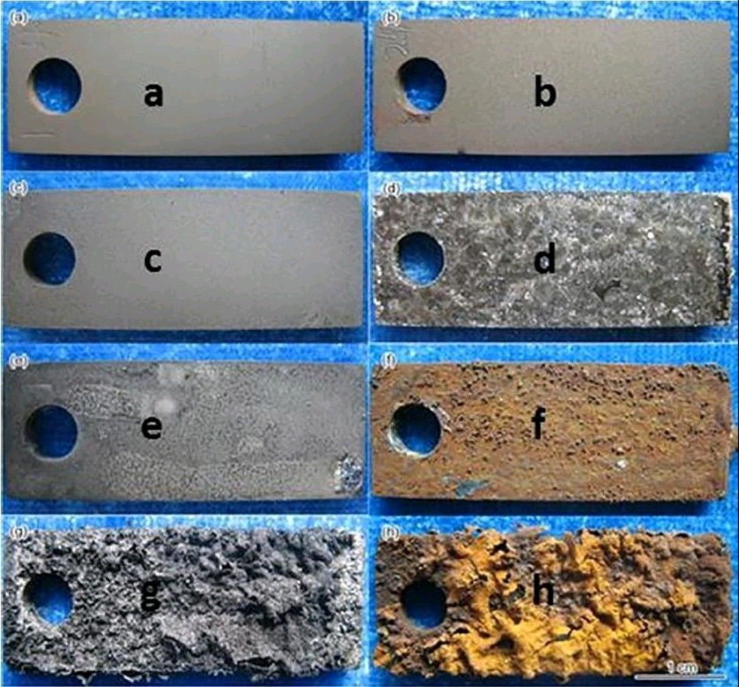 Amine Abbaoui on LinkedIn: Macroscopic morphologies of corrosion scales ... Amine Abbaoui on LinkedIn: Macroscopic morphologies of corrosion scales ...