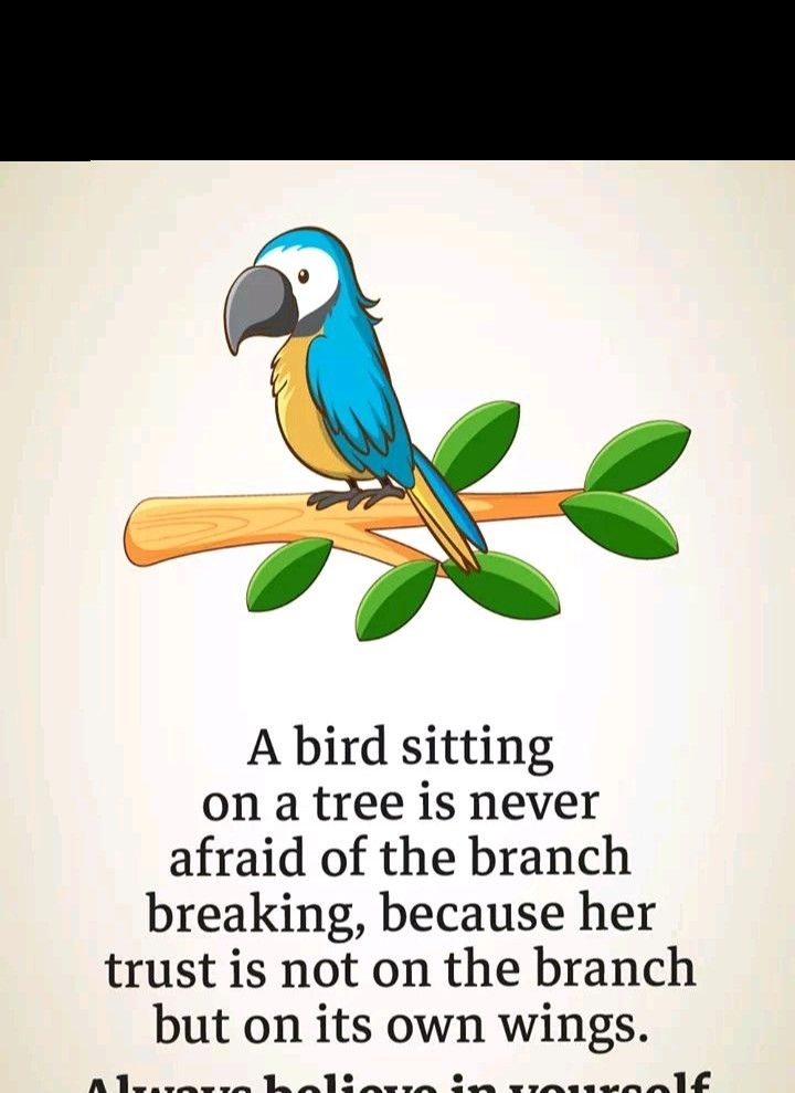 Irshad ahmad posted on LinkedIn Irshad ahmad posted on LinkedIn