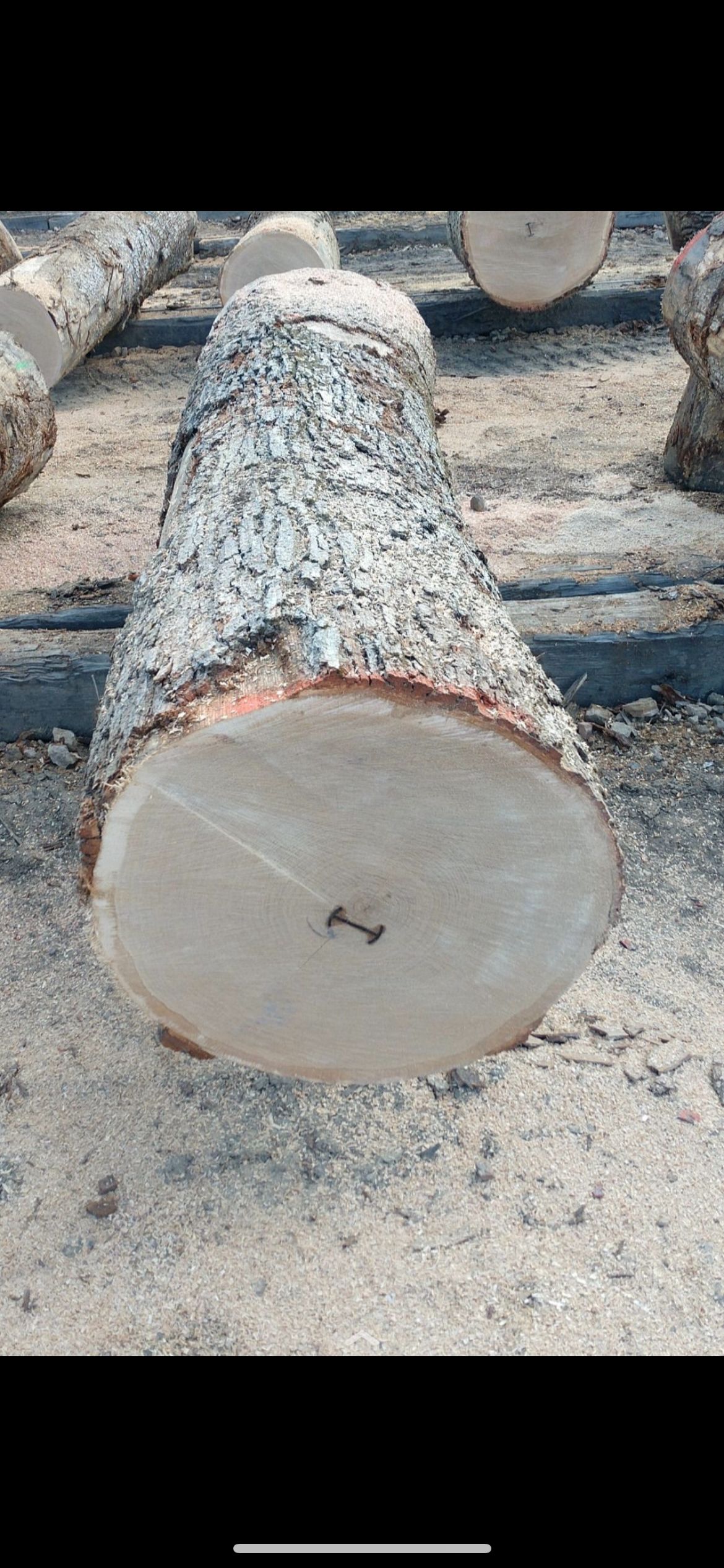 Chris Danielson on LinkedIn: If the good wood doesn’t fire you up… Chris Danielson on LinkedIn: If the good wood doesn’t fire you up…