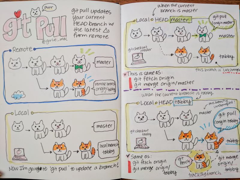 Alexander Belov on LinkedIn: Git purr, git meowge, git puss etc. from ... Alexander Belov on LinkedIn: Git purr, git meowge, git puss etc. from ...