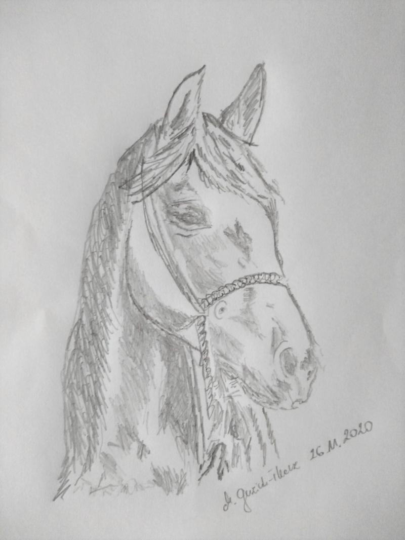 dr hab. Marta Guziuk-Tkacz on LinkedIn: #paintings #hobbies #graphics dr hab. Marta Guziuk-Tkacz on LinkedIn: #paintings #hobbies #graphics