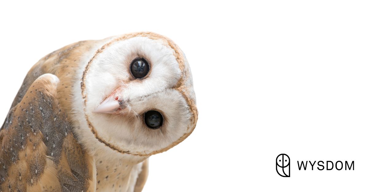 Wysdom, a Calabrio Company on LinkedIn: #festivalofowls #wysdom Wysdom, a Calabrio Company on LinkedIn: #festivalofowls #wysdom