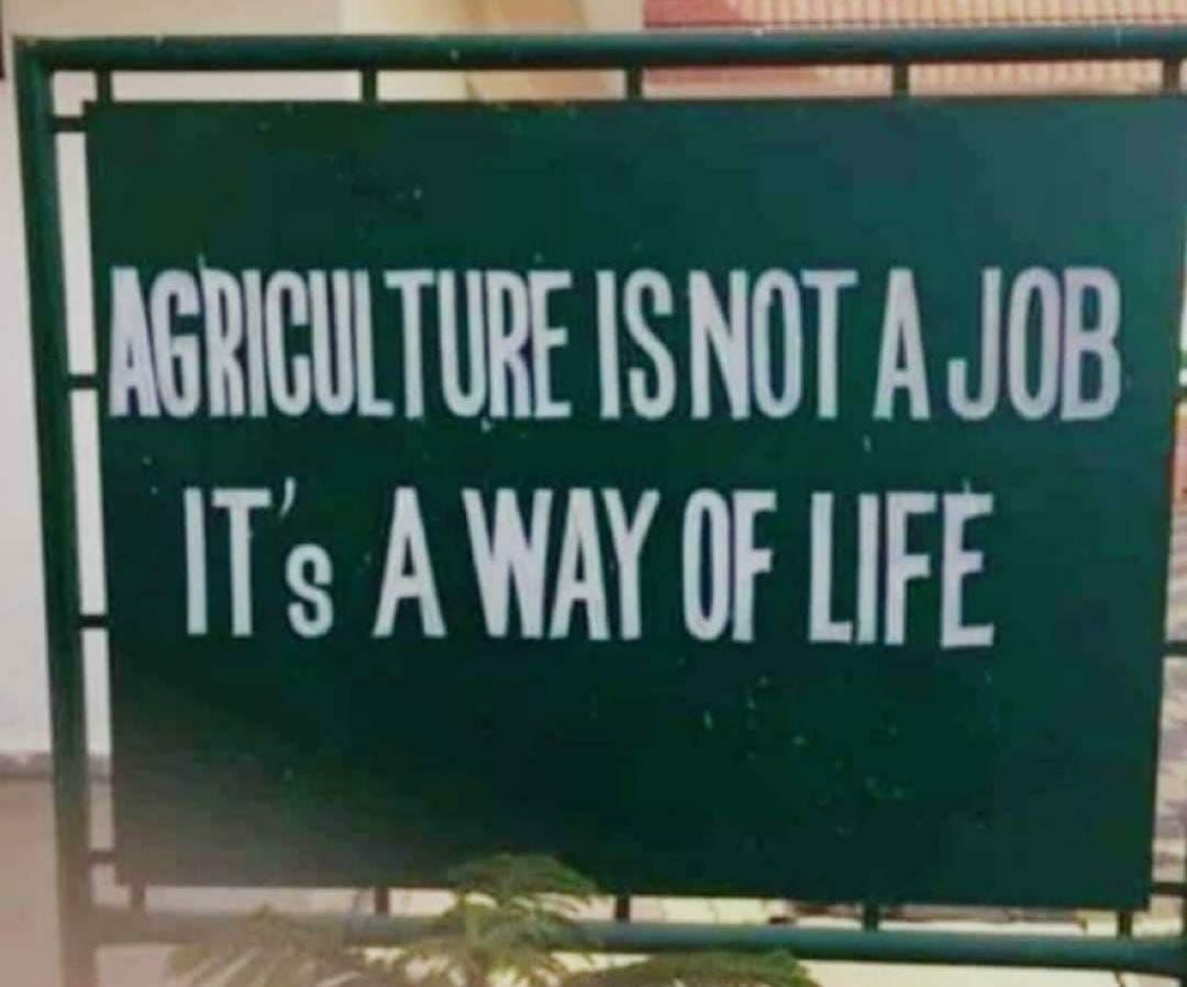 Rajnish Sharma on LinkedIn: #agriculture | 18 comments Rajnish Sharma on LinkedIn: #agriculture | 18 comments