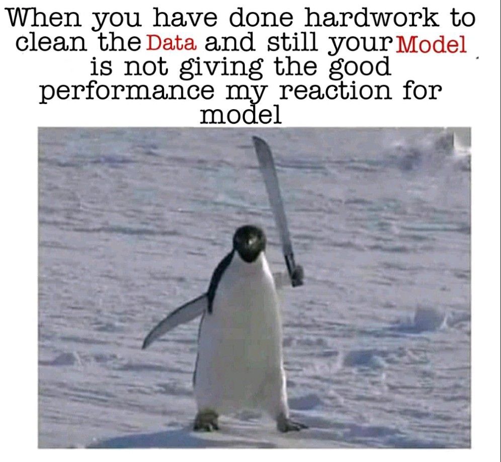 Dhaval Raval on LinkedIn: #data #datascience #programmerlife Dhaval Raval on LinkedIn: #data #datascience #programmerlife