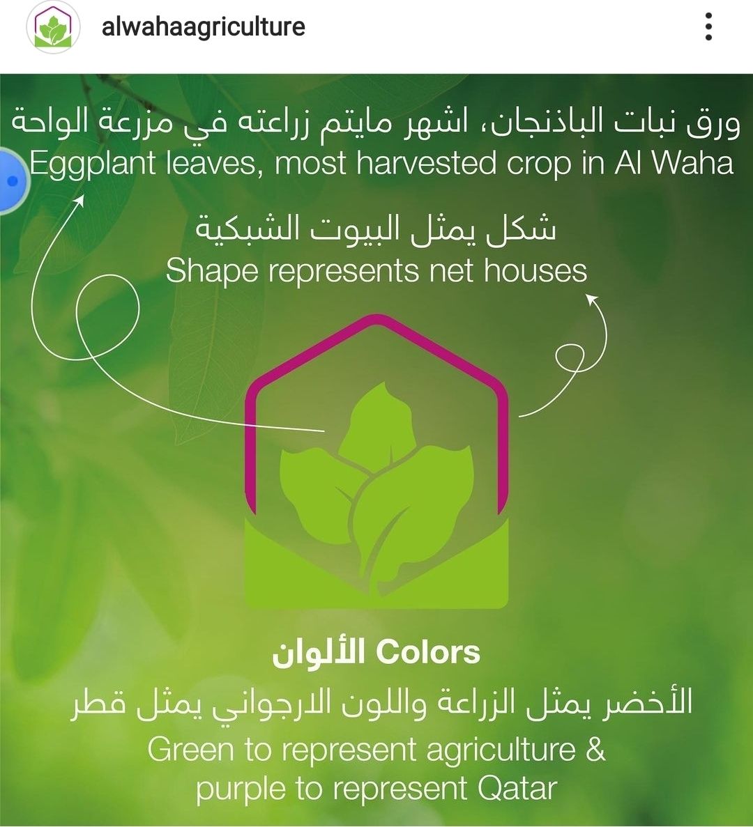 Dr. SUMAN YADAV di LinkedIn: #logoreveals #sustainability #qatari Dr. SUMAN YADAV di LinkedIn: #logoreveals #sustainability #qatari