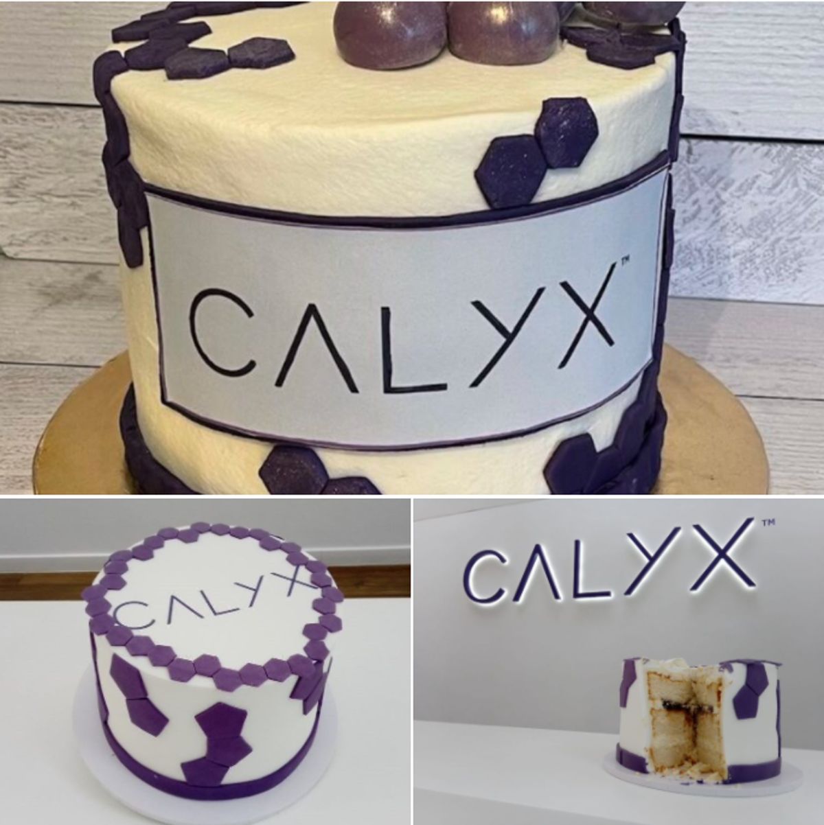Riten Patel on LinkedIn: #happyanniversarycalyx Riten Patel on LinkedIn: #happyanniversarycalyx