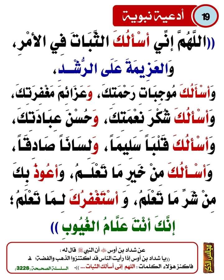 Asmaa Bekhit posted on LinkedIn Asmaa Bekhit posted on LinkedIn