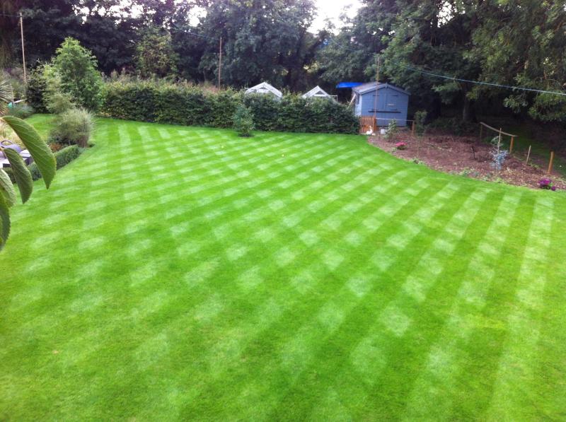David Hedges-Gower on LinkedIn: #LawnCare #MythBusters..... David Hedges-Gower on LinkedIn: #LawnCare #MythBusters.....