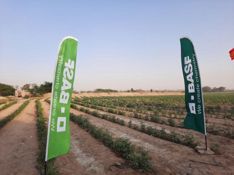 Dr.Diako Ghorbanian on LinkedIn: #basf #fungicide | 12 comments Dr.Diako Ghorbanian on LinkedIn: #basf #fungicide | 12 comments