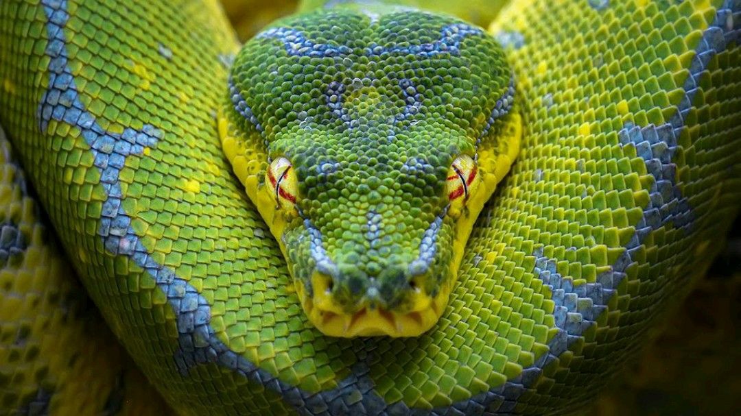 Aneesh J. on LinkedIn: #codingadventures #neverstoplearning #python Aneesh J. on LinkedIn: #codingadventures #neverstoplearning #python