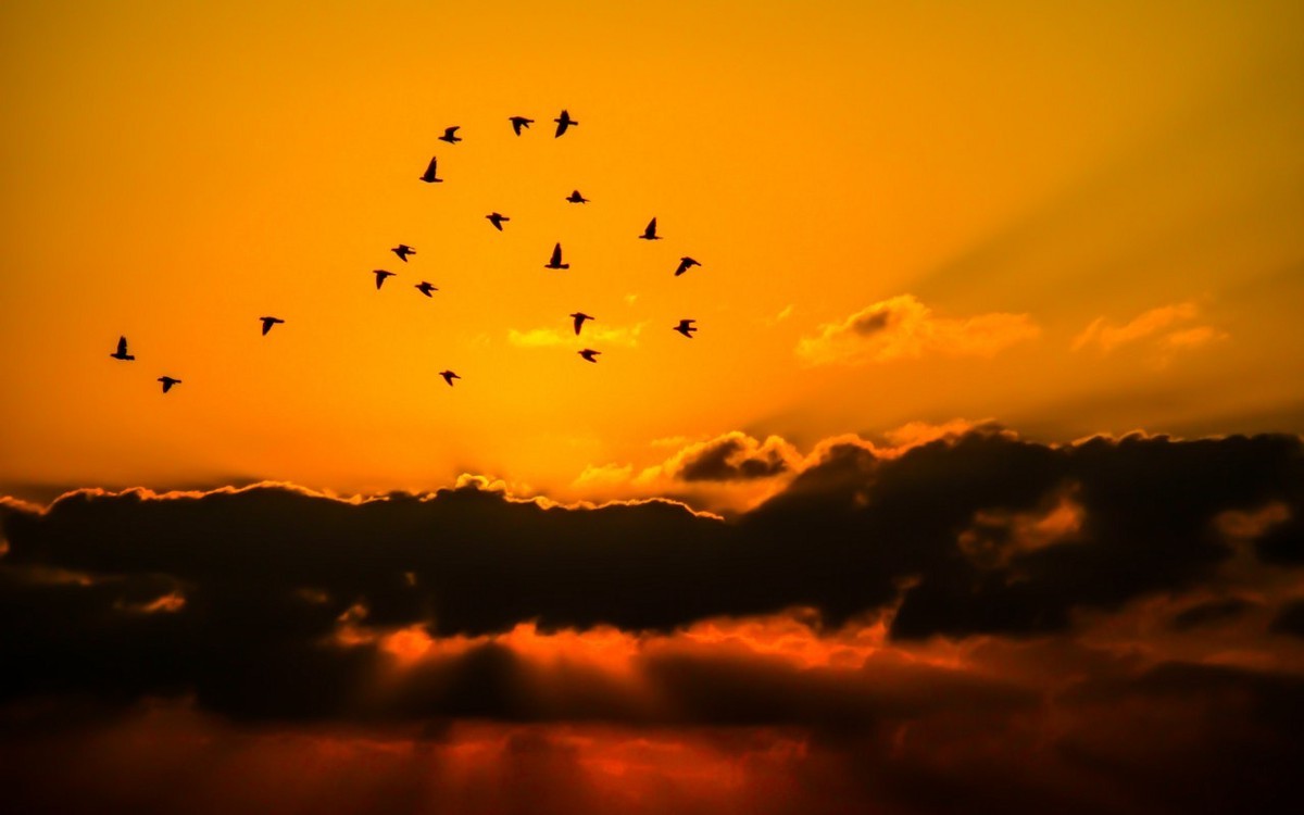 Michael & Hove Solutions Ltd on LinkedIn: Firebase: Migrating data to ... Michael & Hove Solutions Ltd on LinkedIn: Firebase: Migrating data to ...