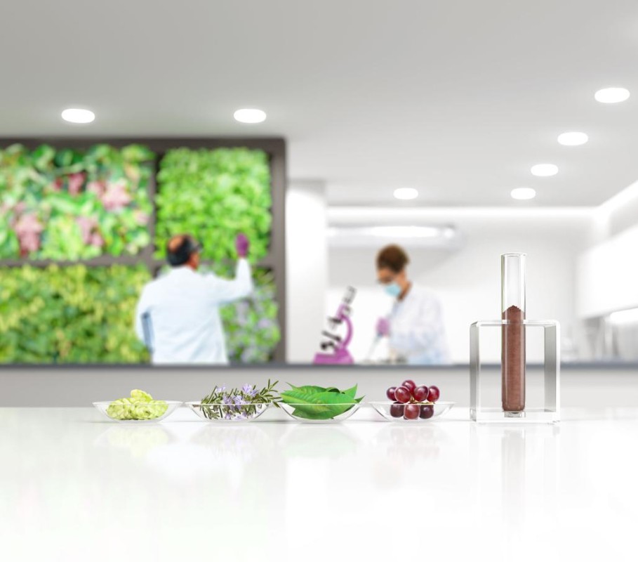 Evonik Animal Nutrition on LinkedIn: Flavonoids - Evonik Industries Evonik Animal Nutrition on LinkedIn: Flavonoids - Evonik Industries