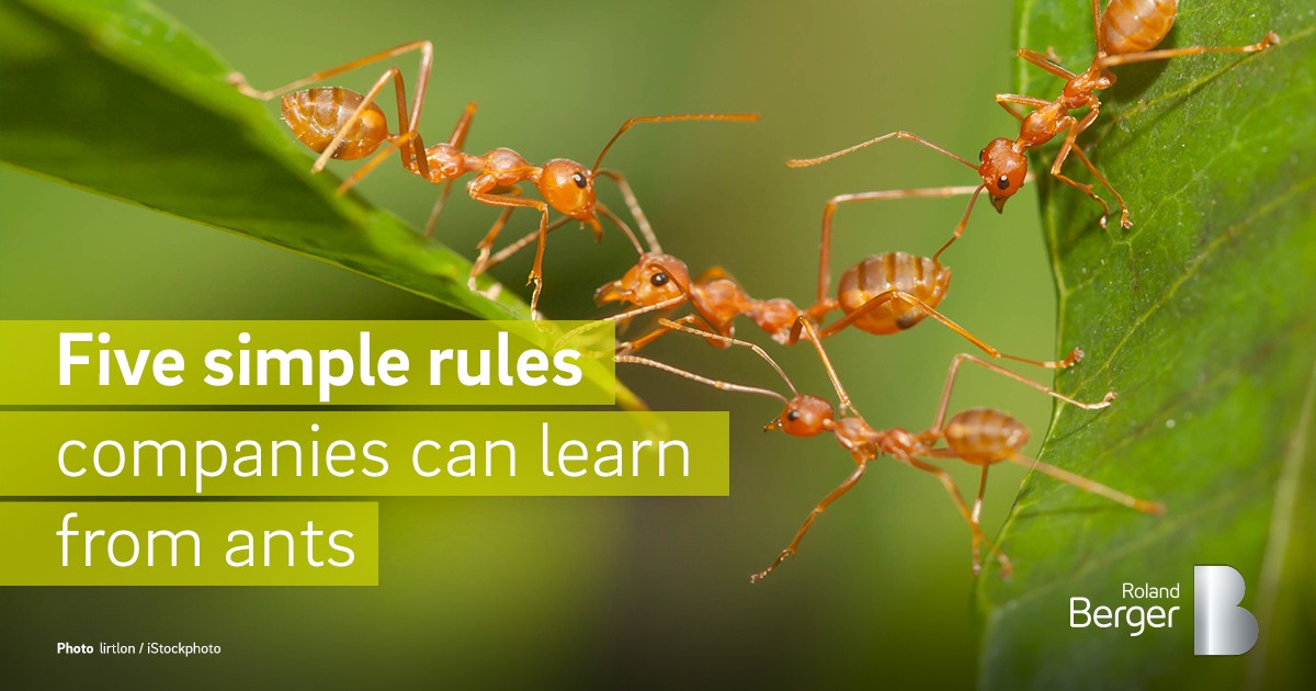 Marco Triozzi on LinkedIn: Companies can learn from the cooperative ... Marco Triozzi on LinkedIn: Companies can learn from the cooperative ...