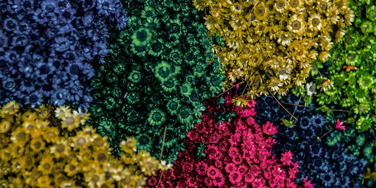 Priscilla Esteban on LinkedIn: How DNA may affect your seasonal allergies Priscilla Esteban on LinkedIn: How DNA may affect your seasonal allergies