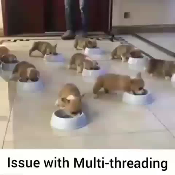 Bharat Patidar on LinkedIn: multithreading vs multiprocessing 😂 | 21 ... Bharat Patidar on LinkedIn: multithreading vs multiprocessing 😂 | 21 ...