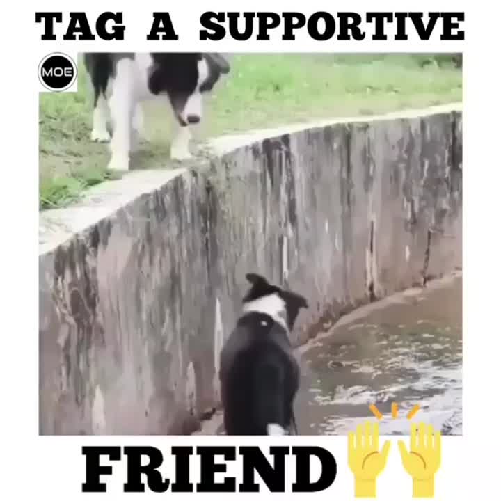 Tauseef Hasan on LinkedIn: #great #amazing #universe #help #message # ... Tauseef Hasan on LinkedIn: #great #amazing #universe #help #message # ...