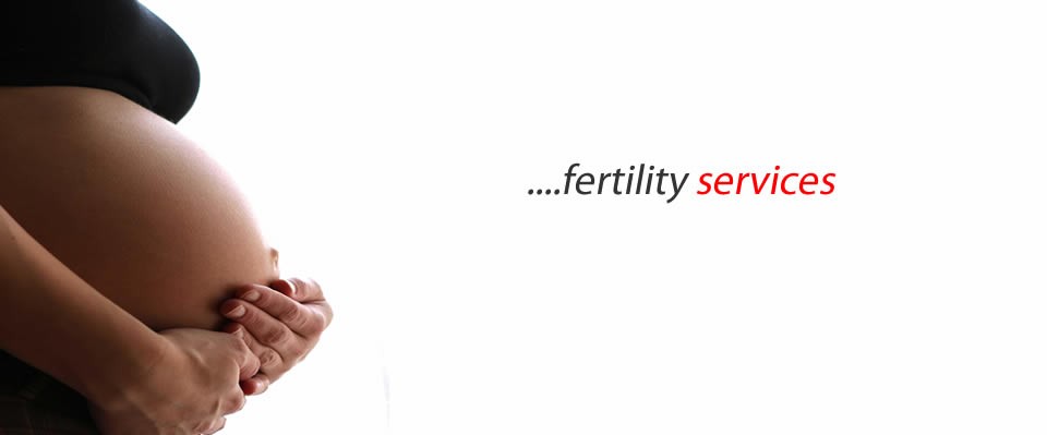 Global Fertility Services Market Global Fertility Services Market