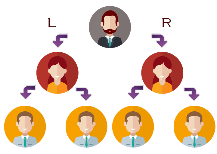 How Does Binary MLM Compensation Plan Functions? How Does Binary MLM Compensation Plan Functions?
