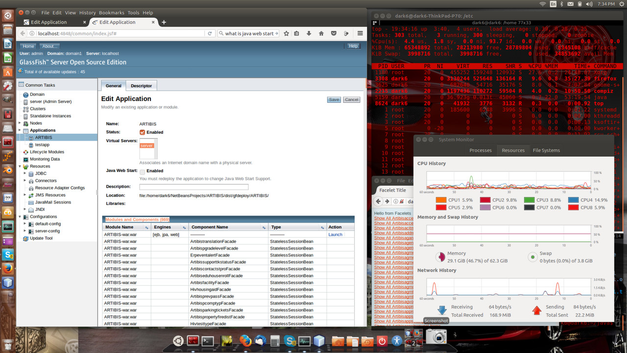Deploying pure Java ERP and EMR Systems Deploying pure Java ERP and EMR Systems