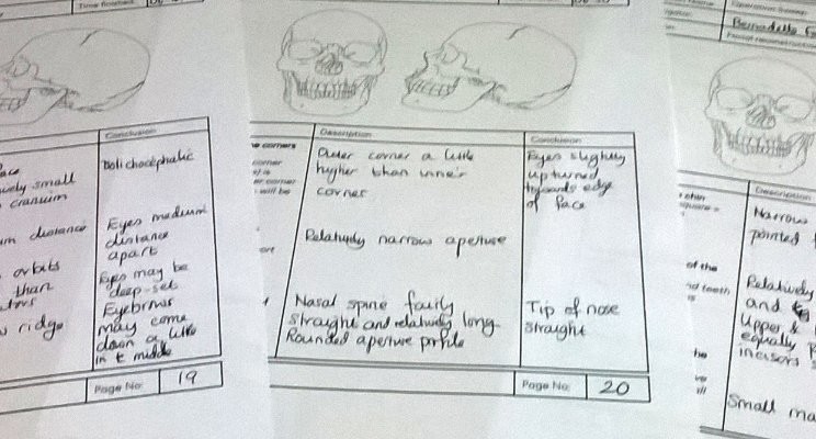 IDENTIFYING THE DEAD – WEEK 5 (part 2) IDENTIFYING THE DEAD – WEEK 5 (part 2)