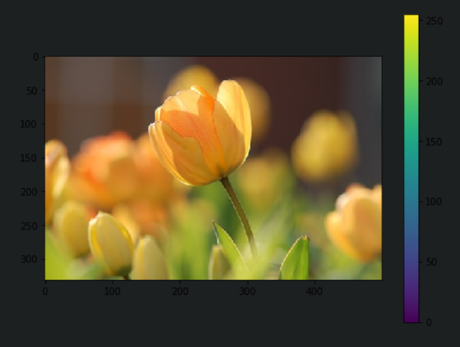 Image Filtering— using OpenCV Image Filtering— using OpenCV