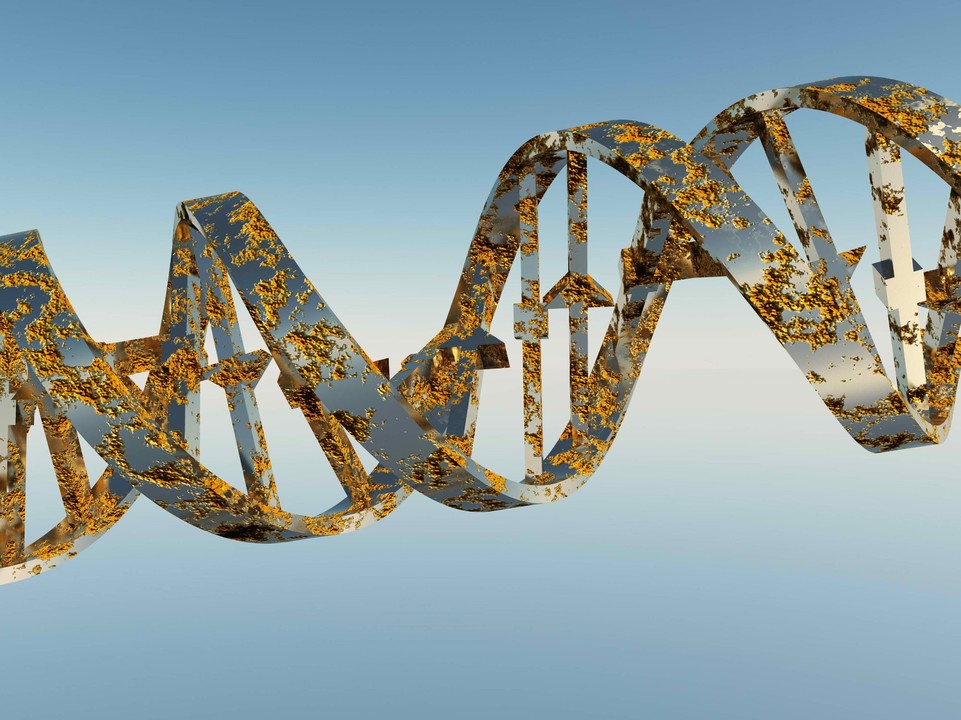 Smoking Cigarettes Permanently Damages DNA Smoking Cigarettes Permanently Damages DNA