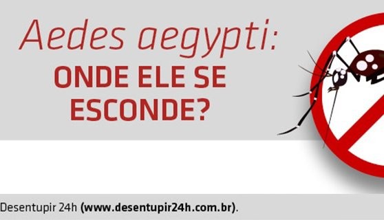 Aedes aegypti: 3 passos para acabar com focos escondidos do mosquito Aedes aegypti: 3 passos para acabar com focos escondidos do mosquito