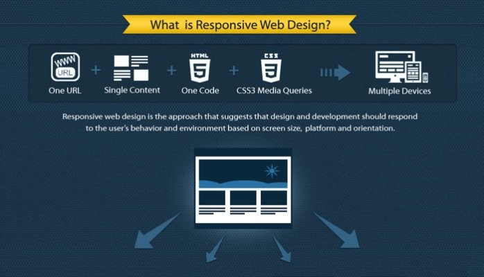 Dynamic or static responsive website India Dynamic or static responsive website India