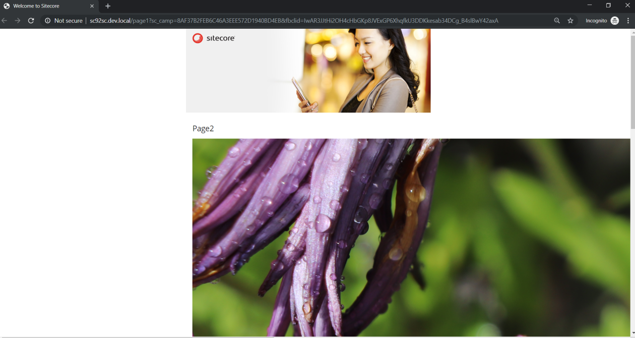 Sitecore Personalization - Change your landing page based on different ... Sitecore Personalization - Change your landing page based on different ...