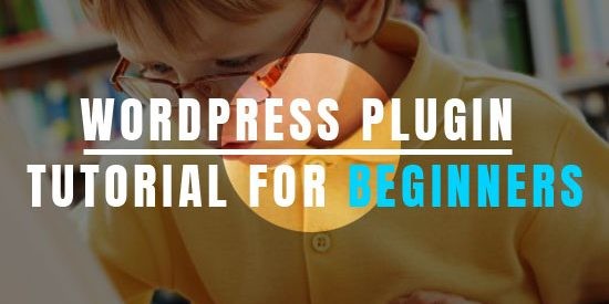 Detailed WordPress Plugin Development Tutorial For The Beginners – Step ... Detailed WordPress Plugin Development Tutorial For The Beginners – Step ...
