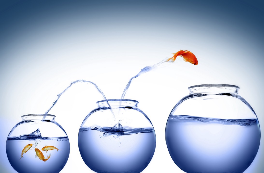 7 strategies for scaling up 7 strategies for scaling up