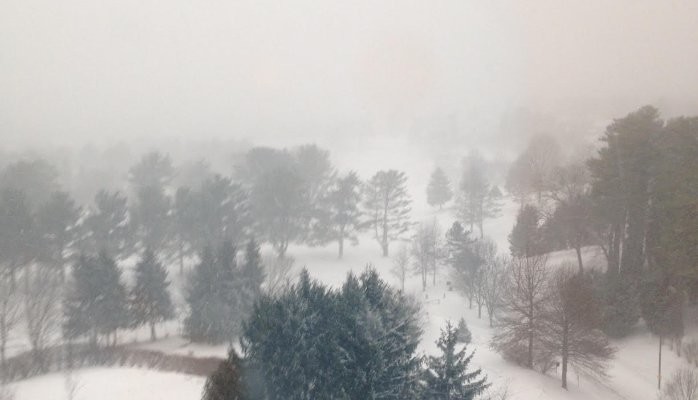 How I Survived Blizzard 2016 How I Survived Blizzard 2016