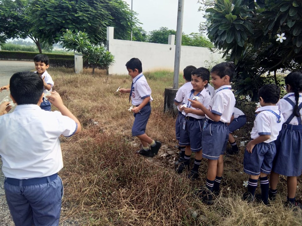 Learn Explore Grow Learn Explore Grow