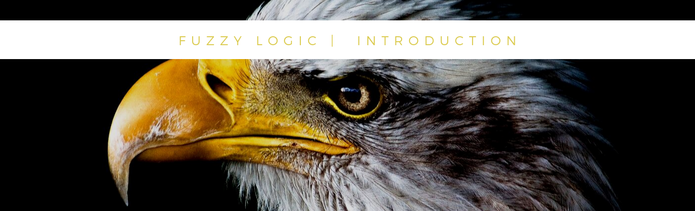 Fuzzy Logic | Introduction Fuzzy Logic | Introduction