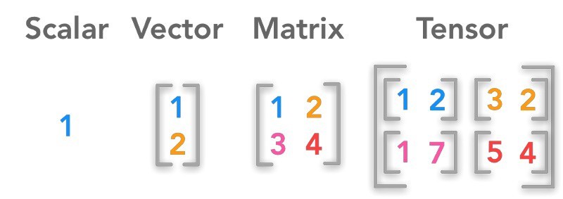 Machine Learning Basics : Scalars, Vectors, Matrices and Tensors Machine Learning Basics : Scalars, Vectors, Matrices and Tensors