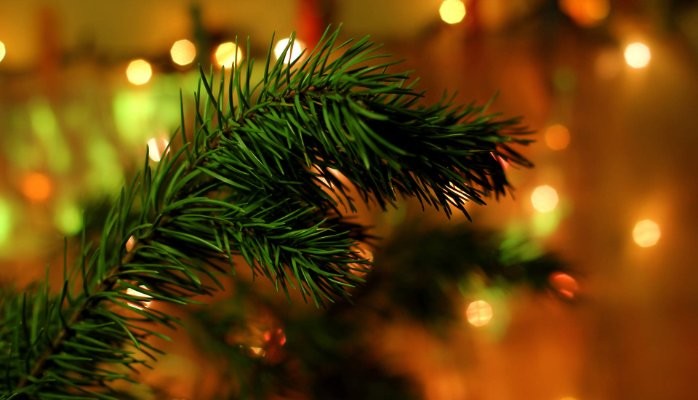 Christmas tree syndrome symptoms mimic colds and flu Christmas tree syndrome symptoms mimic colds and flu