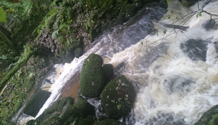 New Guide for Natural Flood Management from SEPA New Guide for Natural Flood Management from SEPA