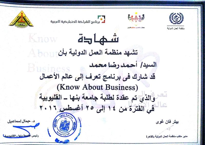 Ahmed Reda on LinkedIn: #ilo Ahmed Reda on LinkedIn: #ilo
