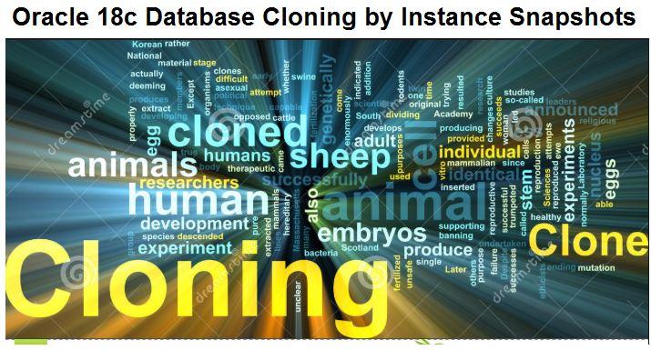 Hariprasath Rajaram on LinkedIn: #oracle #oracledatabase #oraclerac # ... Hariprasath Rajaram on LinkedIn: #oracle #oracledatabase #oraclerac # ...