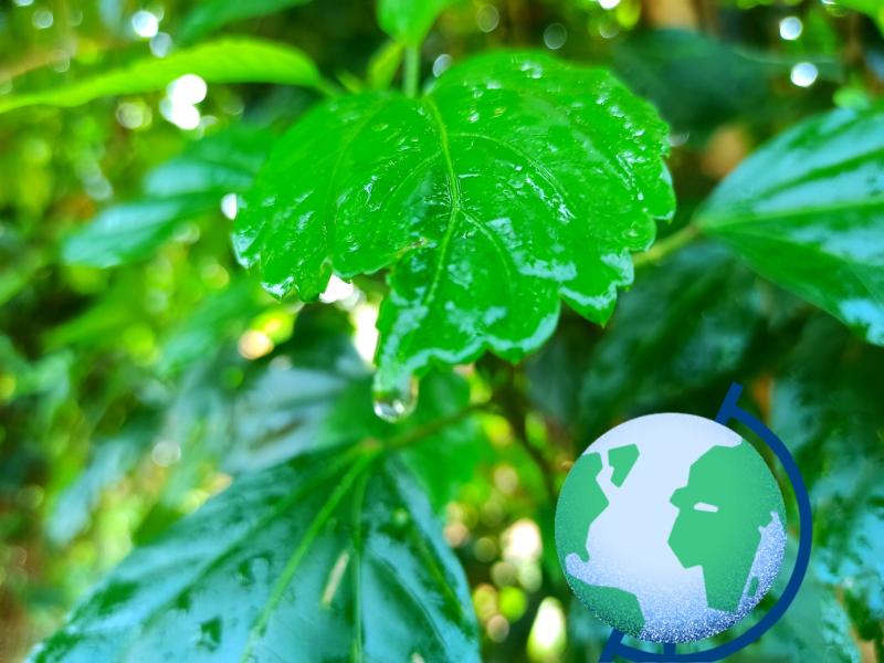 Sampad Patra on LinkedIn: #nature Sampad Patra on LinkedIn: #nature