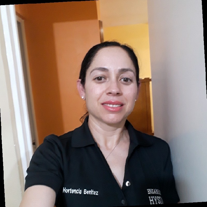 Hortencia Benitez-CPIM - Buyer Planner - Ensambles Hyson | LinkedIn Hortencia Benitez-CPIM - Buyer Planner - Ensambles Hyson | LinkedIn