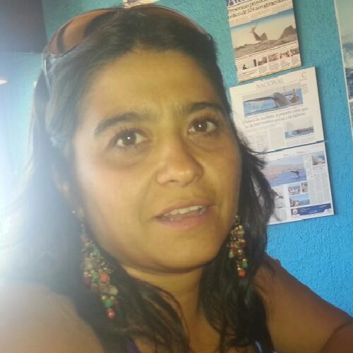 Marcela Berrios - Gerente - Beriba Ltda. | LinkedIn Marcela Berrios - Gerente - Beriba Ltda. | LinkedIn
