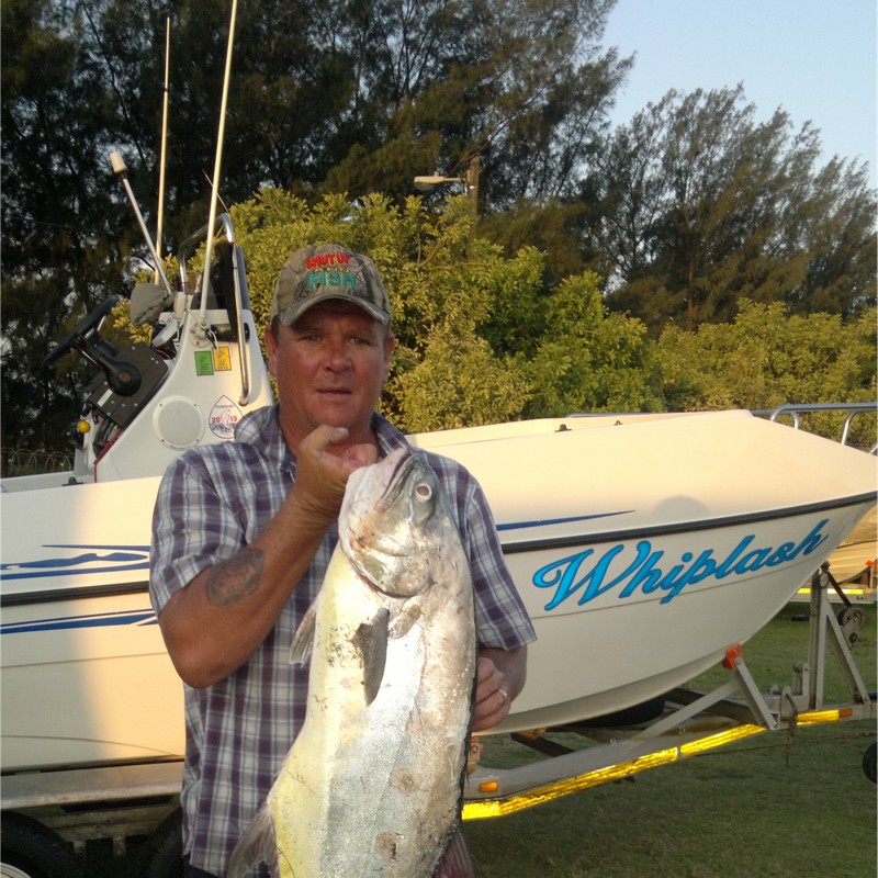 Jacques Nel - Owner - Durban Kzn | LinkedIn Jacques Nel - Owner - Durban Kzn | LinkedIn