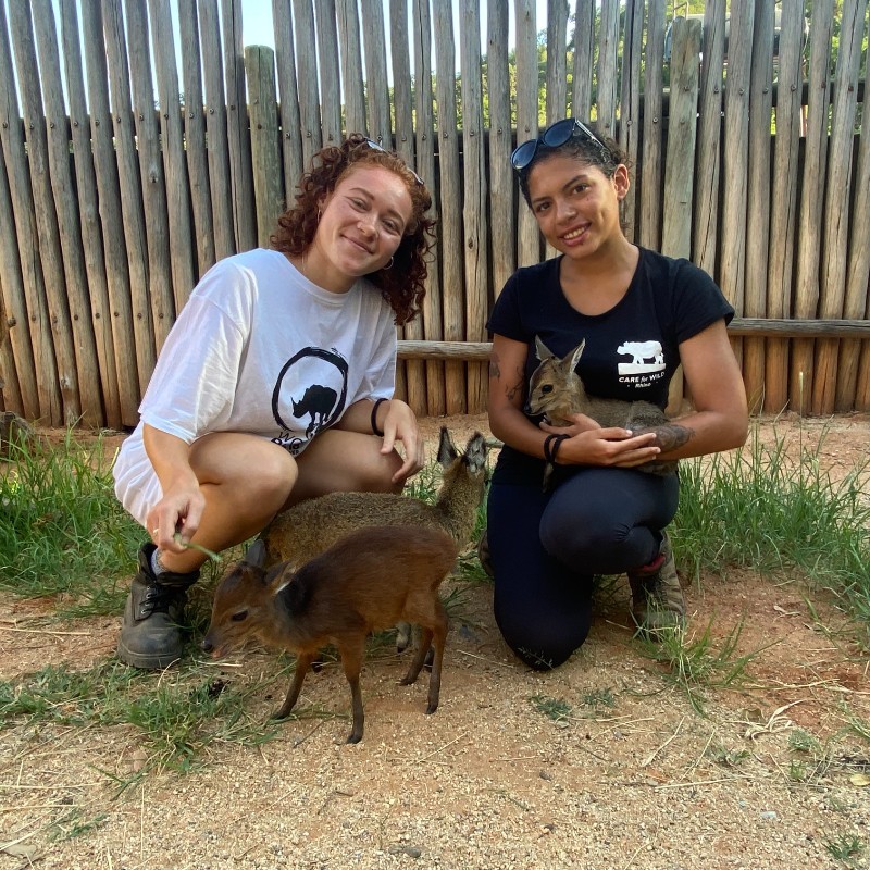 Sabrina Roach - Rehoming & Welfare Co-ordinator - Battersea | LinkedIn Sabrina Roach - Rehoming & Welfare Co-ordinator - Battersea | LinkedIn