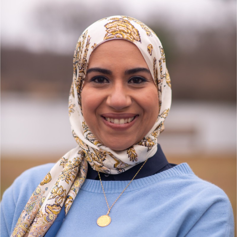 Nihal Hussein,Msc. - Nihal Hussein Consulting LLC | LinkedIn Nihal Hussein,Msc. - Nihal Hussein Consulting LLC | LinkedIn