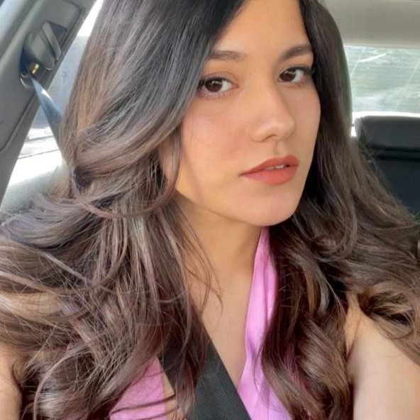 ELVIRA DOMINGUEZ TORRES - Student - Universidad Tecmilenio | LinkedIn ELVIRA DOMINGUEZ TORRES - Student - Universidad Tecmilenio | LinkedIn