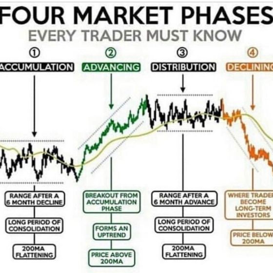 Afshan Khan - Stock Trader - Self employed | LinkedIn Afshan Khan - Stock Trader - Self employed | LinkedIn